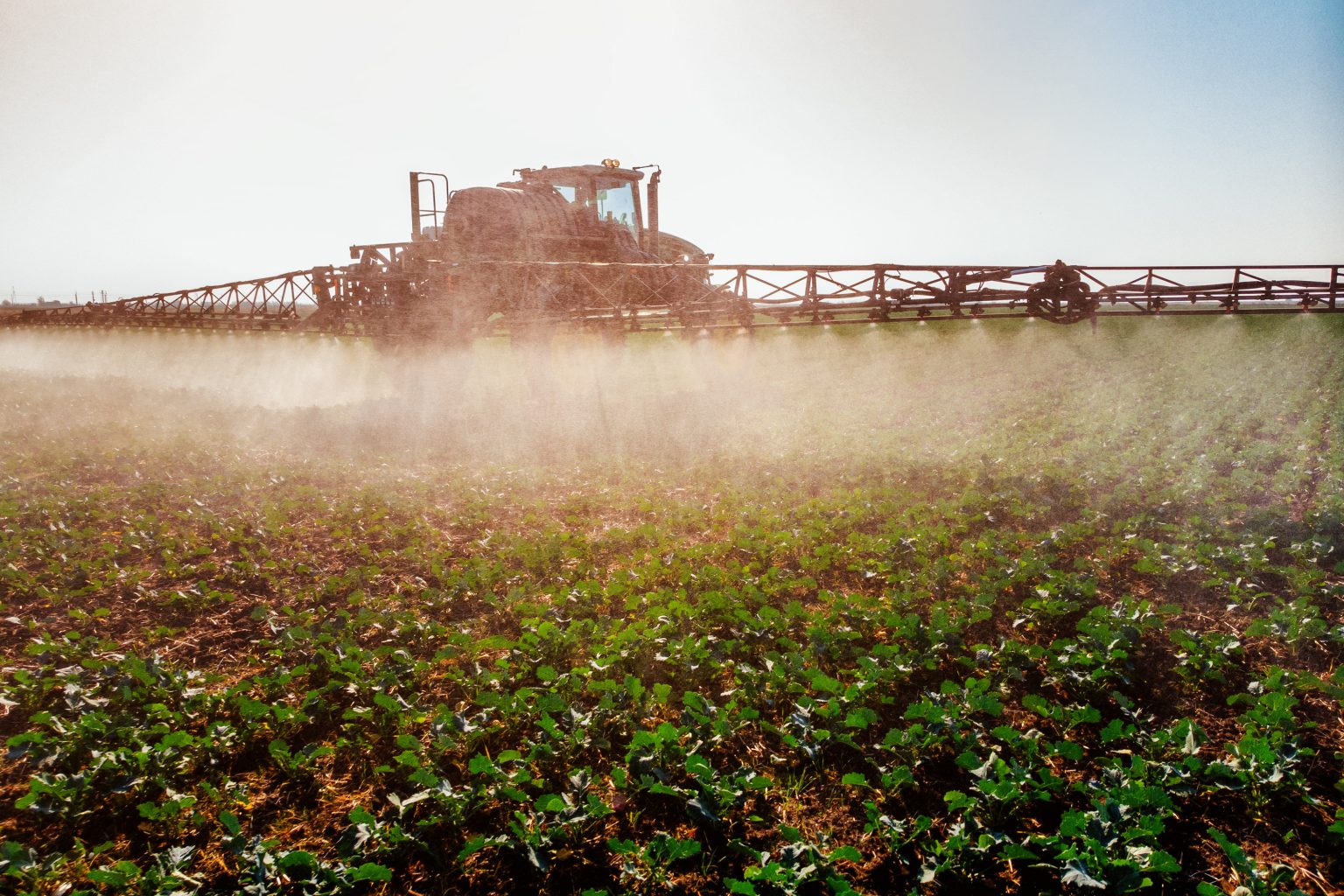 Tractor spraying fertilizer or pesticides on field with sprayer | Farm ...