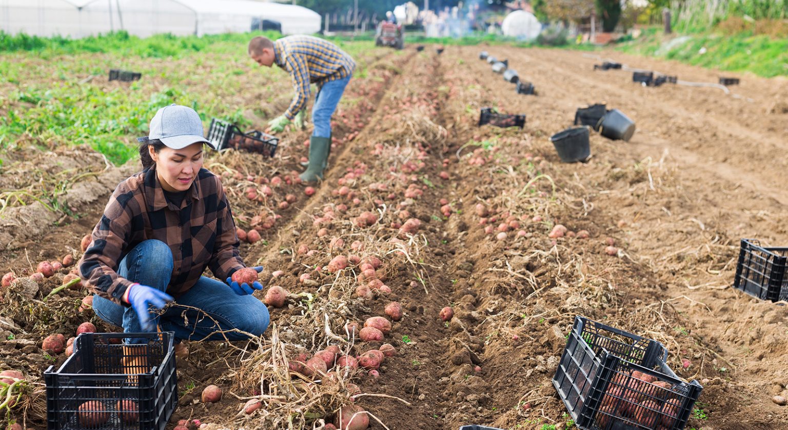 Fair Farm Bill | Farm Action