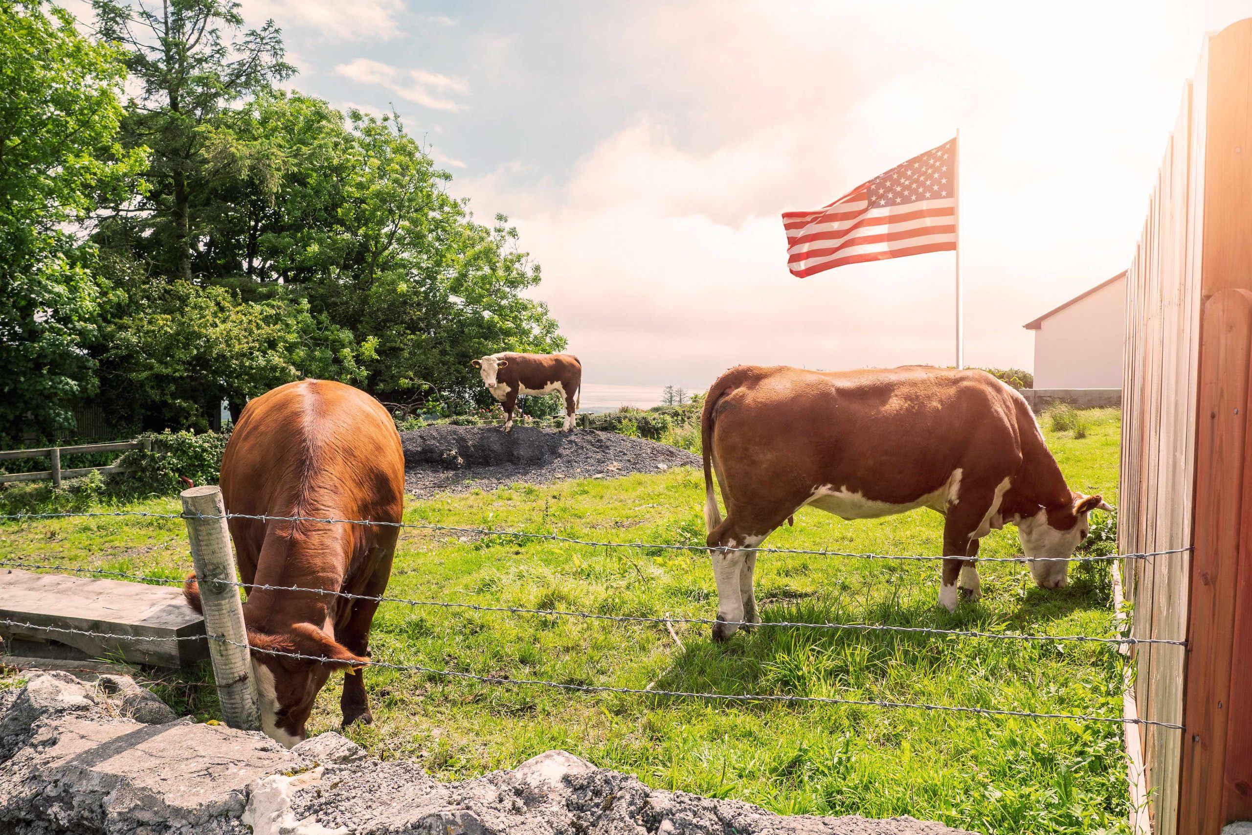 Farm Action Secures “Product of U.S.A.” Meat Labeling Victory | Farm Action