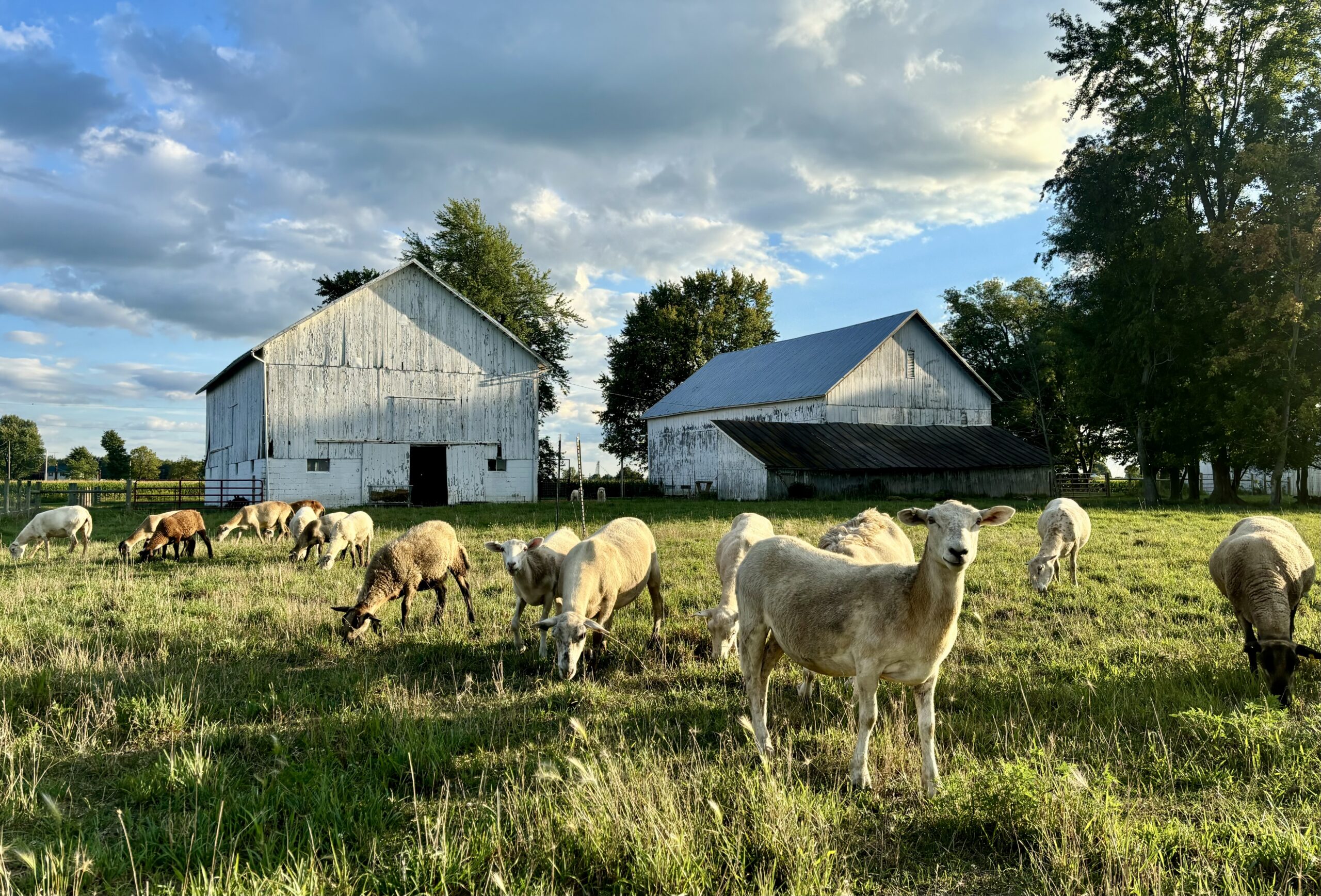 The Hill | Making America Healthy Begins With Farmers | Farm Action