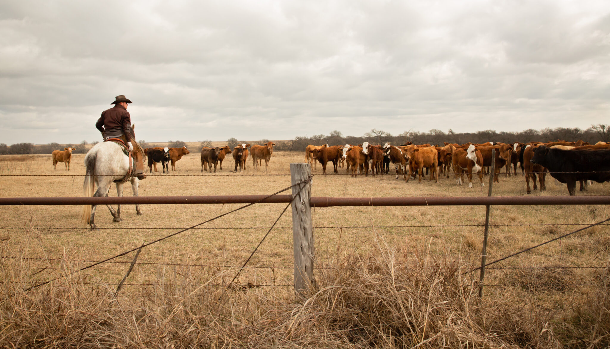 Checkoff Programs: Farmers Funding Their Opponents | Farm Action